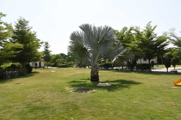The Desert Den - Little Rann Of Kutch - Surendranagar