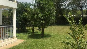 Jardim