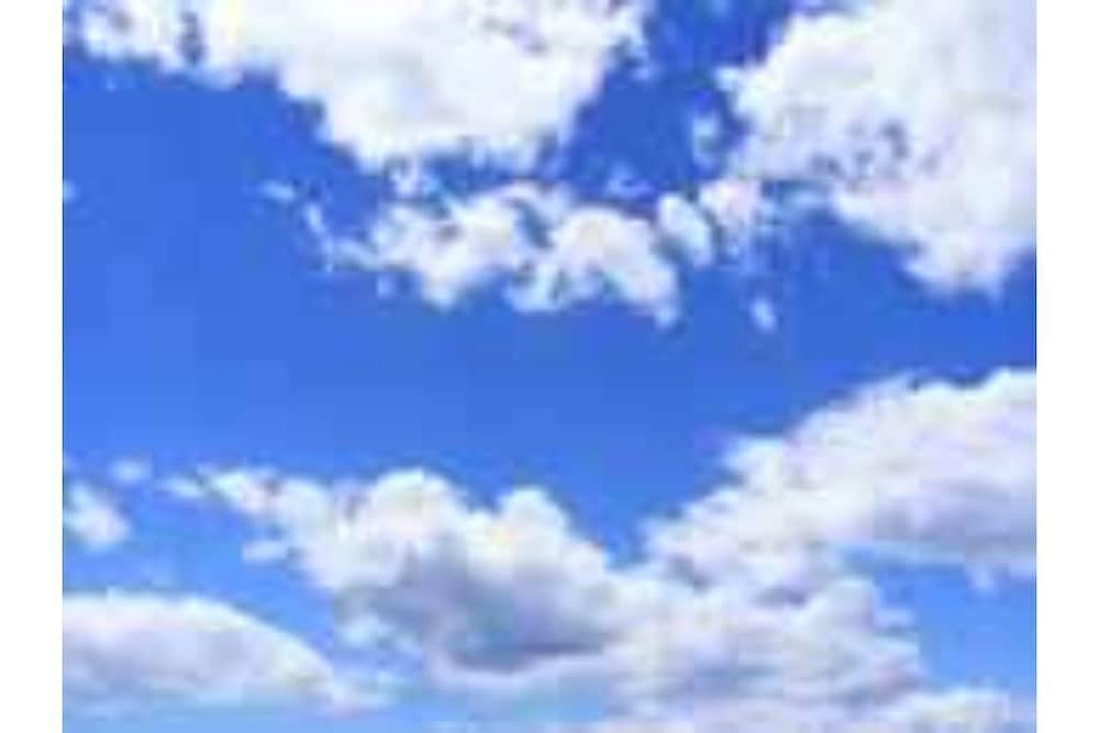 Comfy House - Elk Grove