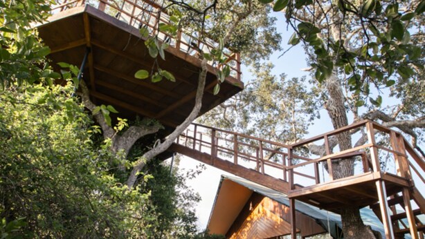 Uma casa na árvore com deck de madeira, piscina e rede.