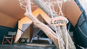 Uma tenda com uma cama, uma mesa e uma placa na árvore com a inscrição 'Leopard'.