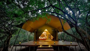 Um alojamento em tenda, com uma área central para a cama, rodeada por um deck de madeira e degraus de acesso.