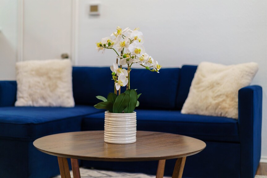 Family Friendly & King Suite & Fire Pit, 9 Mil Dt - Austin, TX