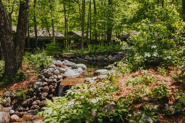 Jack Pines Resort - Minnesota