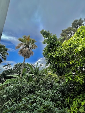 Vista do quarto