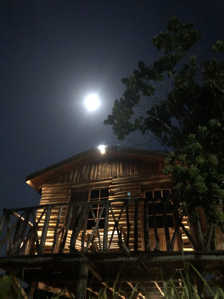The Blue Mahoe Treehouse - Caribe