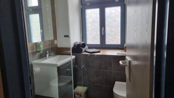 Casa de banho compacta com sanita, lavatório e chuveiro.