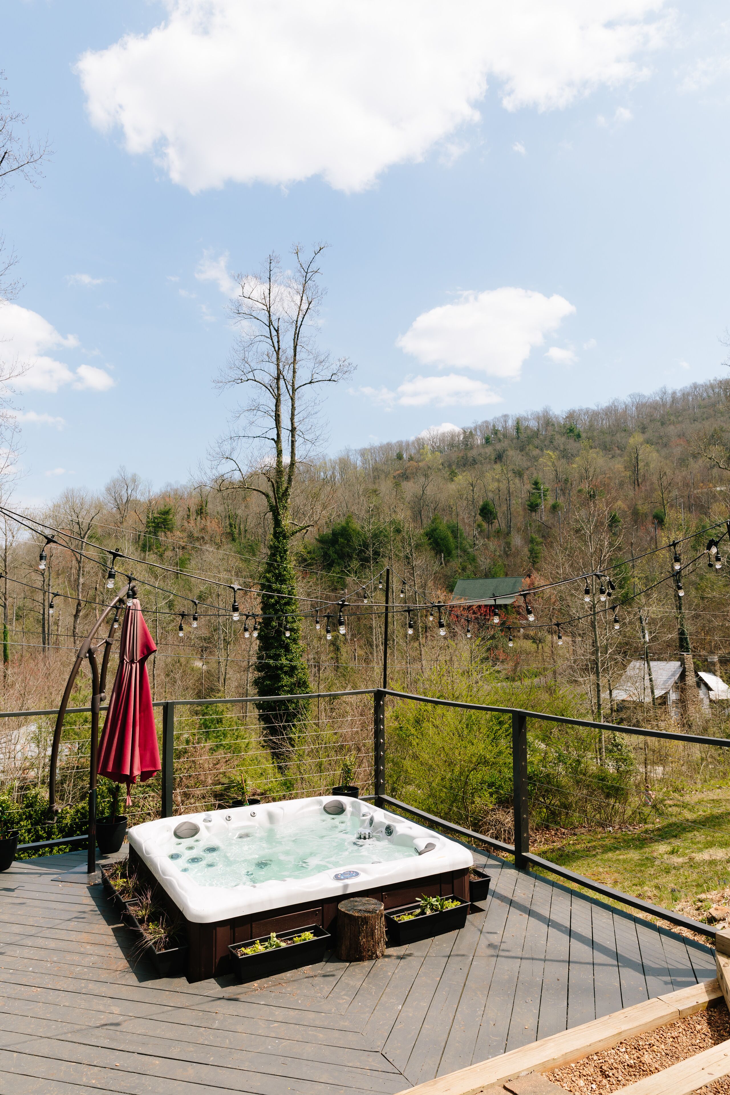 caper tree campground