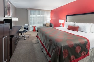 Quarto Individual Económico, 1 quarto, não fumadores | Lençóis de algodão egípcio, roupa de alta qualidade