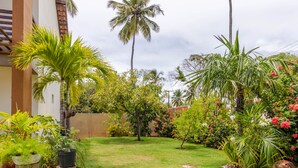 Um jardim bem cuidado com diversas plantas e uma palmeira.