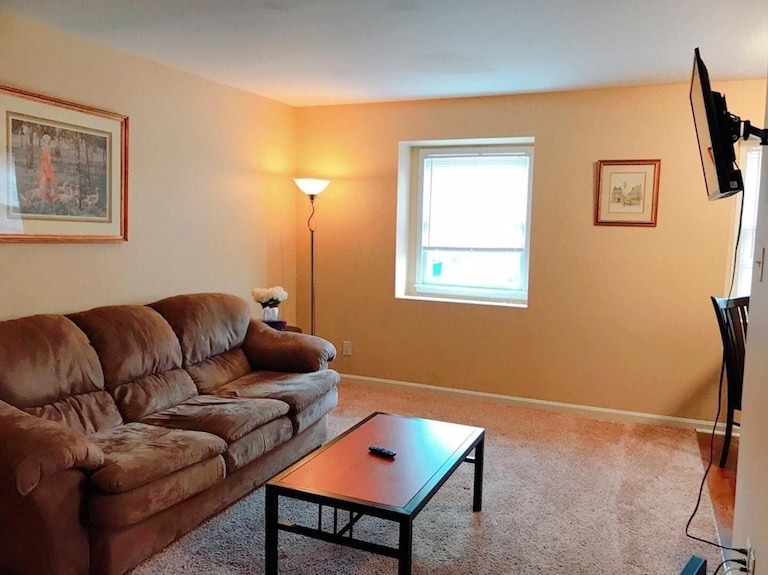 Beautiful Apt Downtown Perfect For Long Term Stays - Lake Higgins