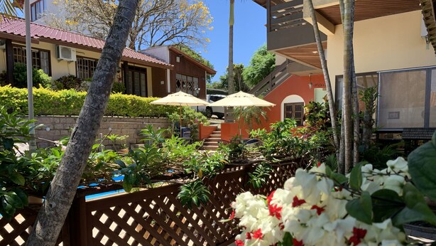 Pátio com piscina, cerca de madeira com treliça e vasos de plantas.