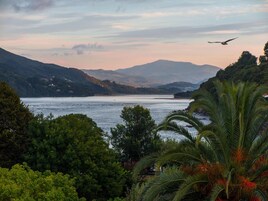 Paisagem costeira com trechos de água, colinas e vegetação densa.
