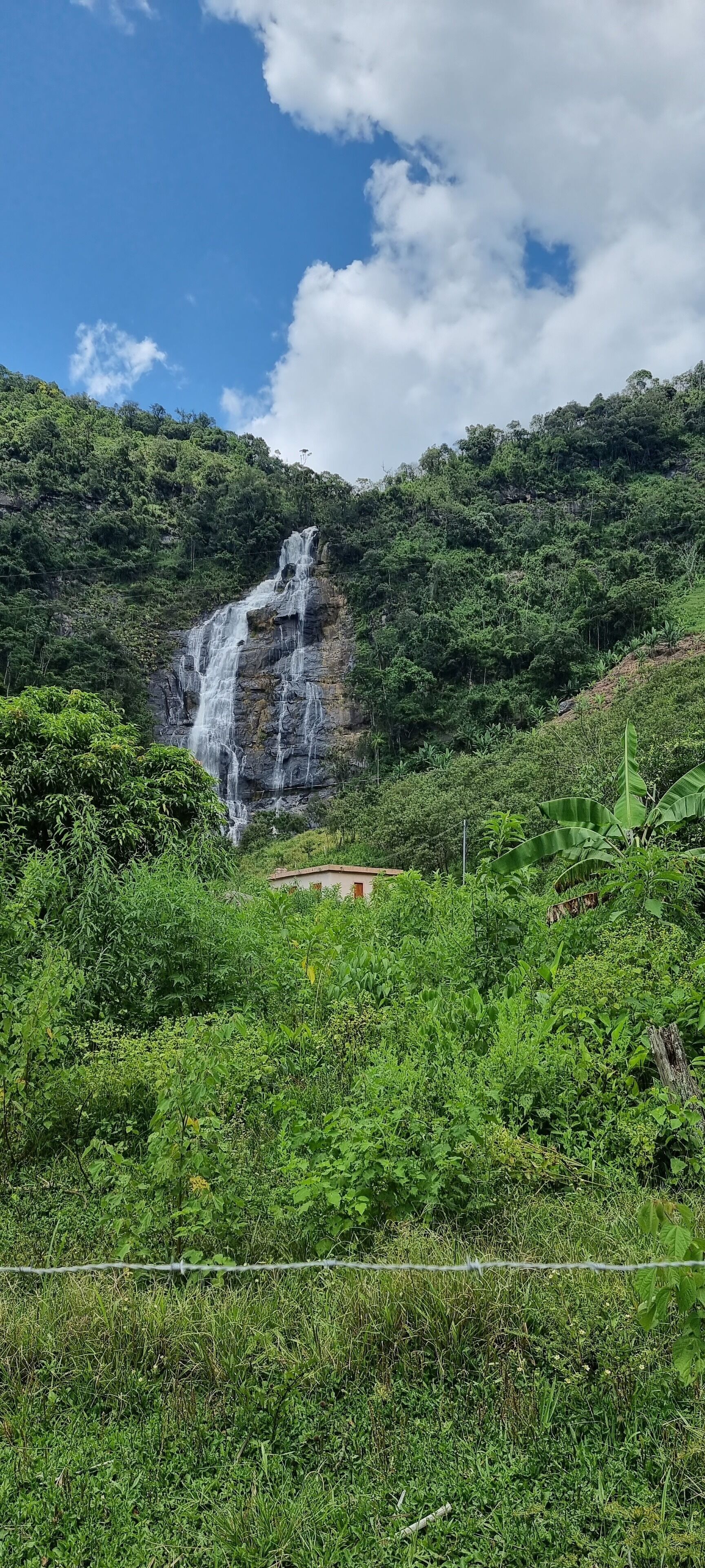 Uma cachoeira despencando por um penhasco rochoso, cercada por vegetação exuberante.
