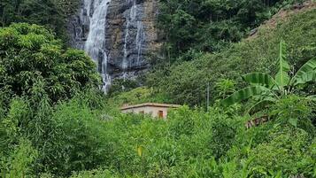 Uma cachoeira despencando por um penhasco rochoso, cercada por vegetação exuberante.