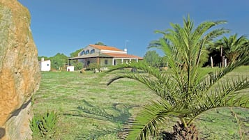 Jardim