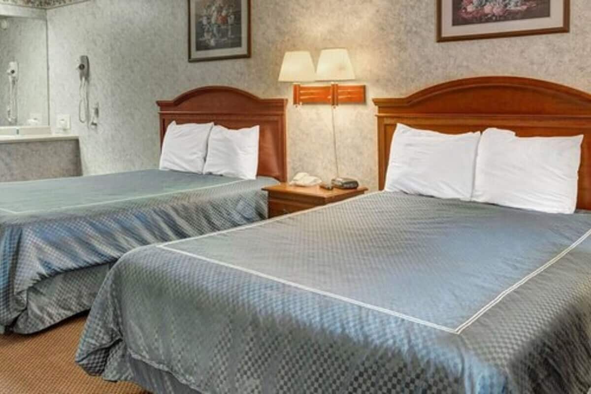 Quarto de hotel com duas camas, banheiro e mesa de cabeceira com abajur.