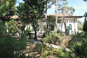 Um edifício com fachada branca e persianas verdes, rodeado por vegetação densa e árvores.