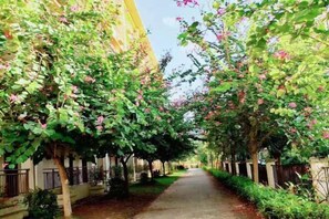 Terrenos do alojamento