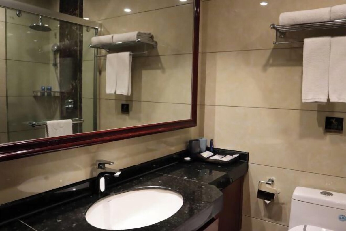 Um banheiro com um espelho grande, pia, vaso sanitário e porta-toalhas.