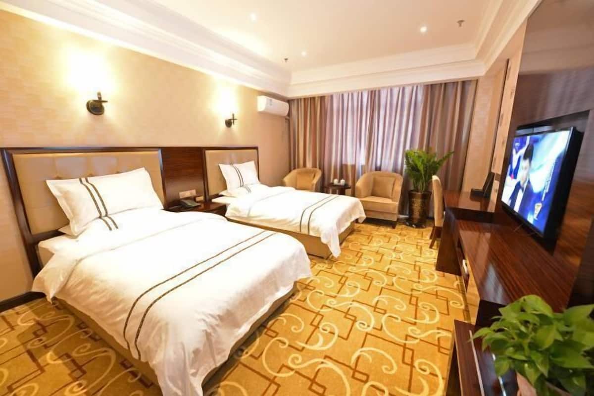 Quarto de hotel com duas camas, televisão, uma planta e um tapete estampado.