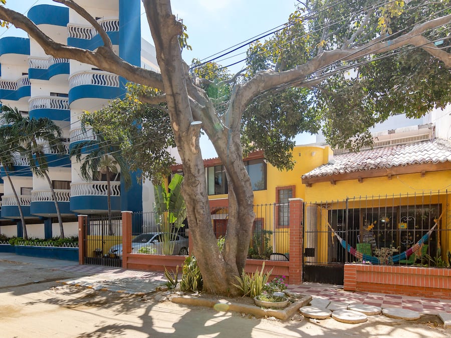 Um edifício com varandas, uma árvore na frente e outro edifício amarelo com uma rede.