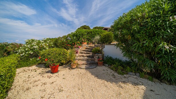 Um caminho de cascalho leva a uma escadaria de pedra, em meio a vegetação exuberante e plantas em vasos.