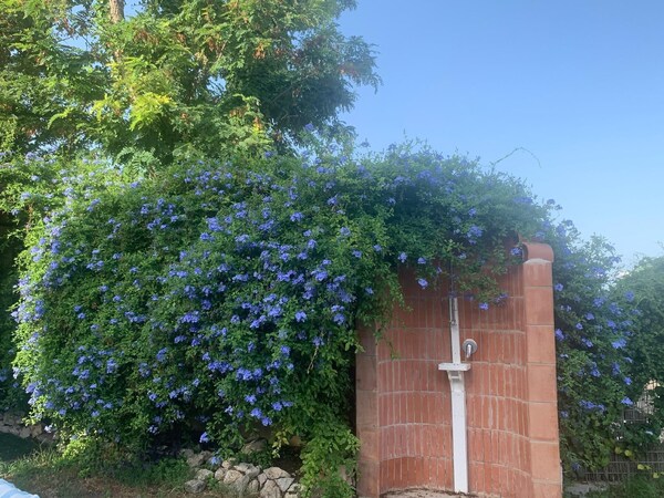 Maison De Vacances Amantea Pour 5 - 8 Personnes Avec 4 Chambres à Coucher - Maison De Vacances - Amantea