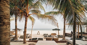 Bar de praia