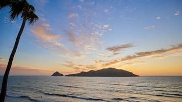 Uma praia com uma palmeira e uma montanha ao fundo.