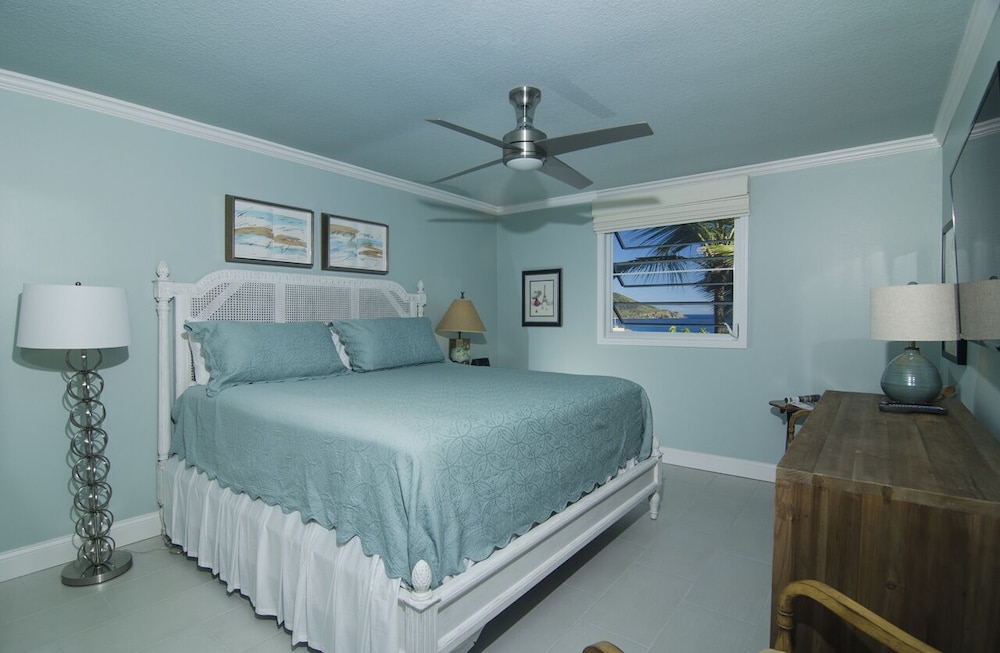 Villa Rosa- Newly Renovated 1 Bedroom Condo - Sleeps 4, Great View & 2 Pools - Saint Thomas