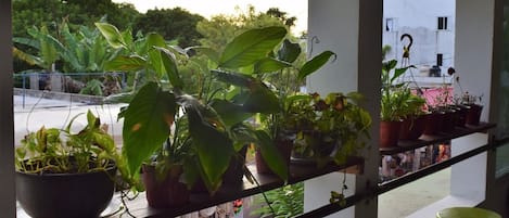 Terrenos do alojamento