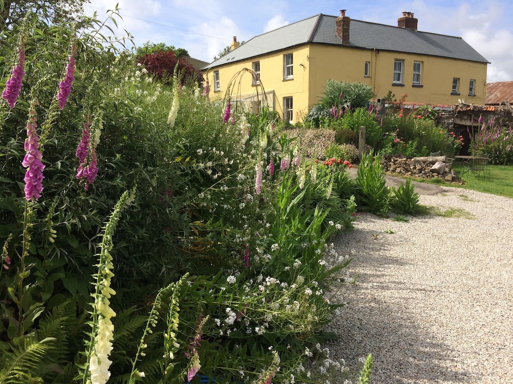 Frizenham Farmhouse B&b - North Devon