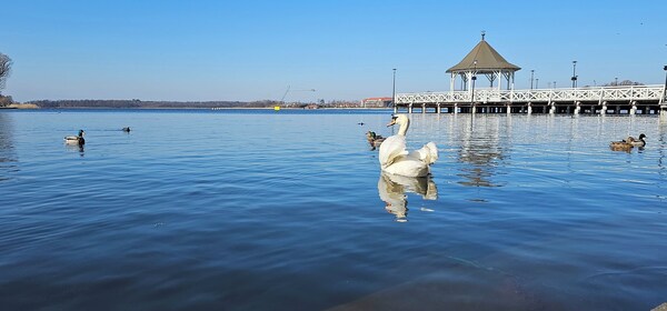 Platinum Ostroda - Mazury