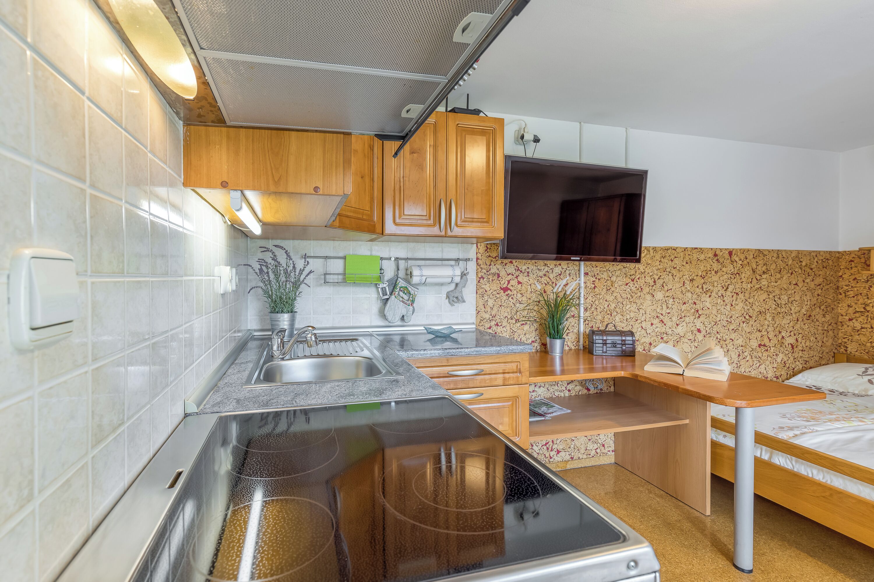 Estúdio família, vista para a montanha (River View Suite Mlinar private beach) | Cozinha privada | Geladeira, fogão, cooktop, chaleira elétrica