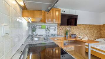 Estúdio família, vista para a montanha (River View Suite Mlinar private beach) | Cozinha privada | Geladeira, fogão, cooktop, chaleira elétrica