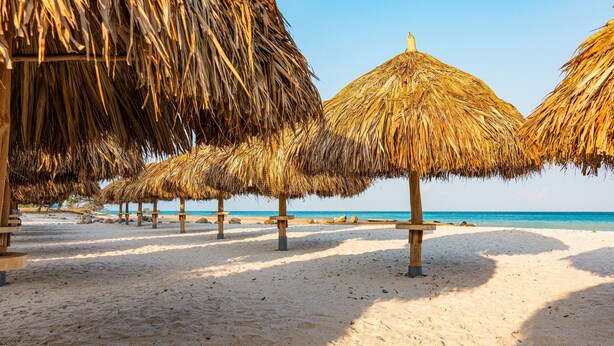Uma praia com guarda-sóis de palha e areal.