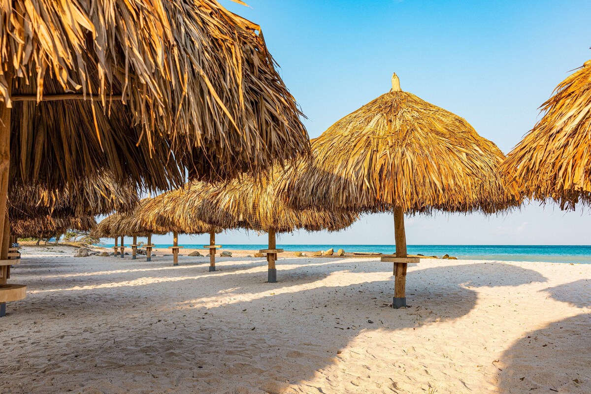 Embassy Suites By Hilton Aruba Beach Resort Reviews, Deals & Photos ...