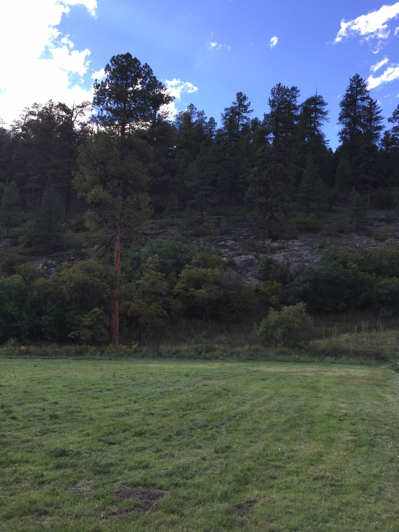 Rustic Cowboy-Cougar Cabin On the Pecos River - Tererro | Vrbo
