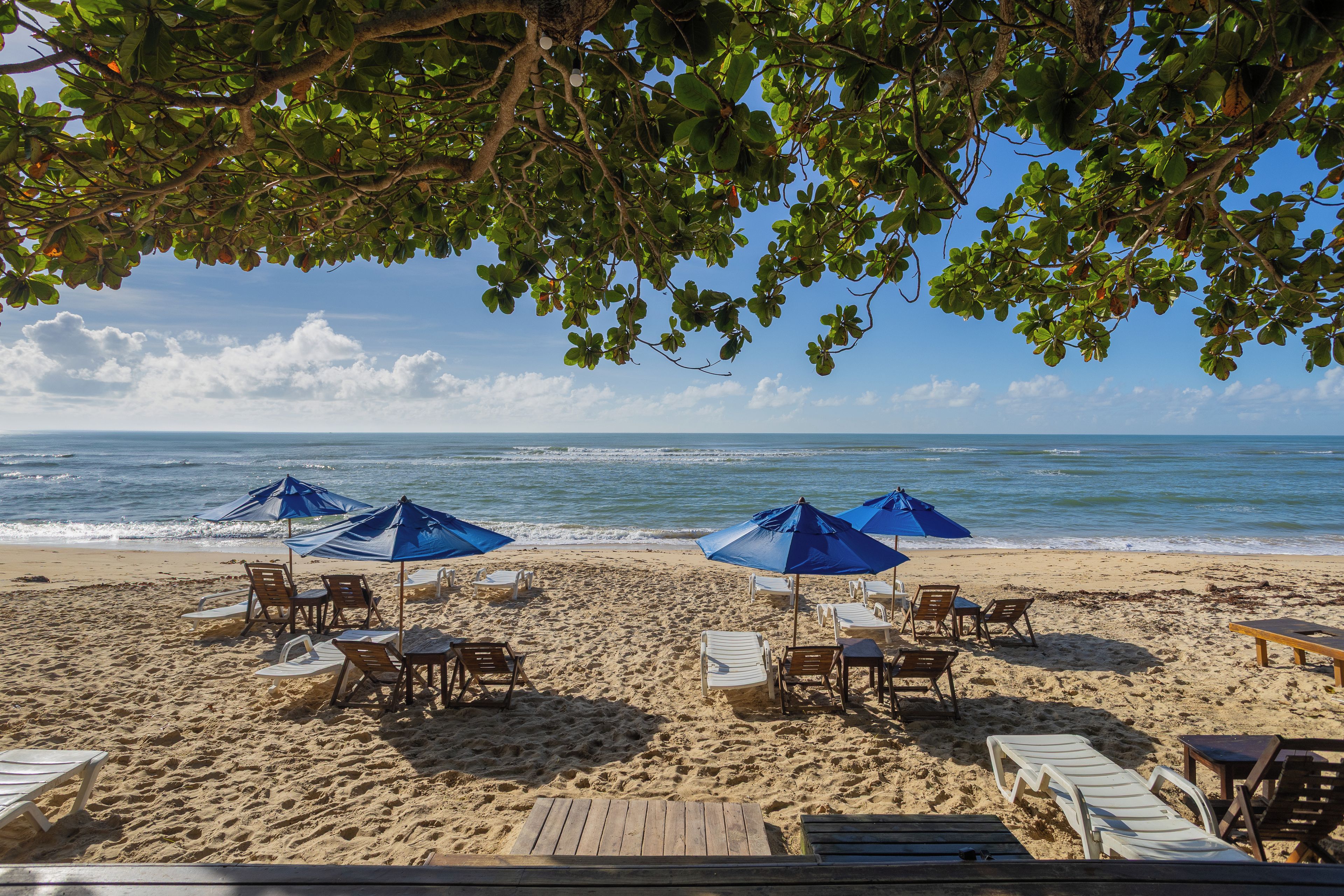 Uma praia com guarda-sóis e espreguiçadeiras, um deck de madeira e o oceano ao fundo.