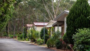Uma fileira de casas térreas com garagens anexas, cercada por vegetação exuberante e árvores.