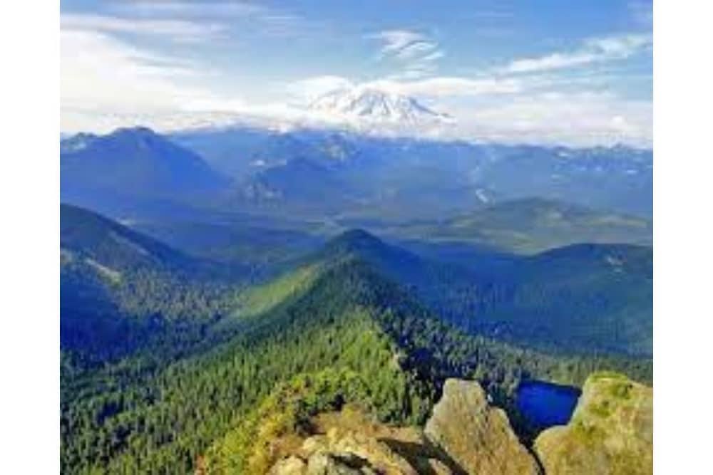 The Sunset Cabin By Lake Bernard Cottages - Ontario 60