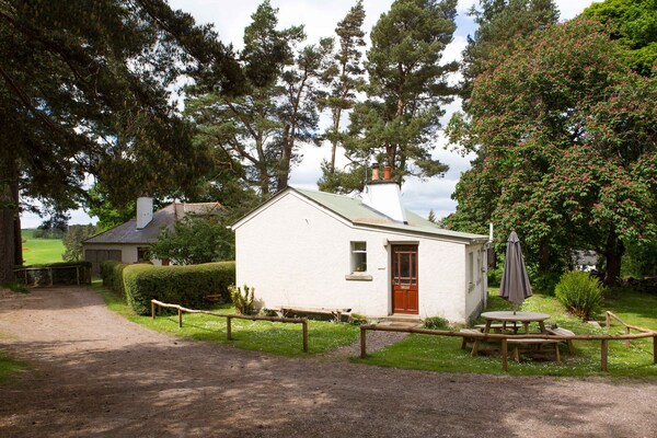 The Bungalow - Moray
