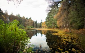 Casa de campo | Parte interna