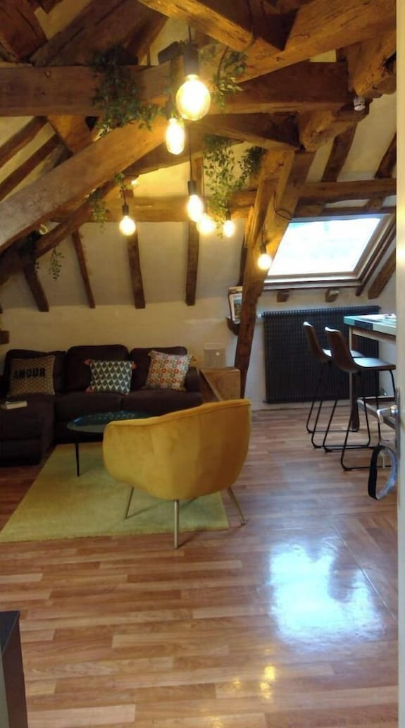 Superb Apartment With Loire View Under The Roofs - Angers