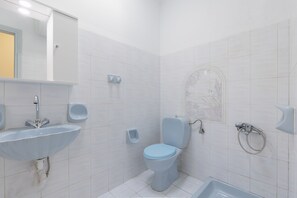 Apartamento, 1 quarto | Casa de banho | Um polibã, um secador de cabelo, toalhas fornecidas, papel higiénico 