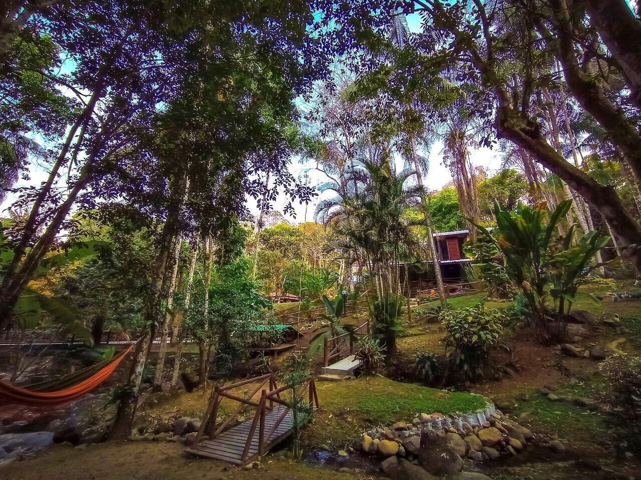 Um jardim exuberante com uma rede, uma ponte de madeira e um pequeno edifício.