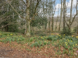Casa de Campo | Interior