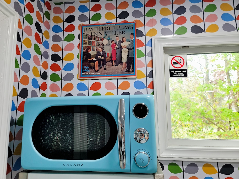 Mid Century 1 Bedroom Tiny Home With Fireplace. - Davenport