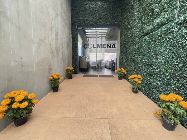 Colmena Hotel Cdmx Tonala - Mexico City